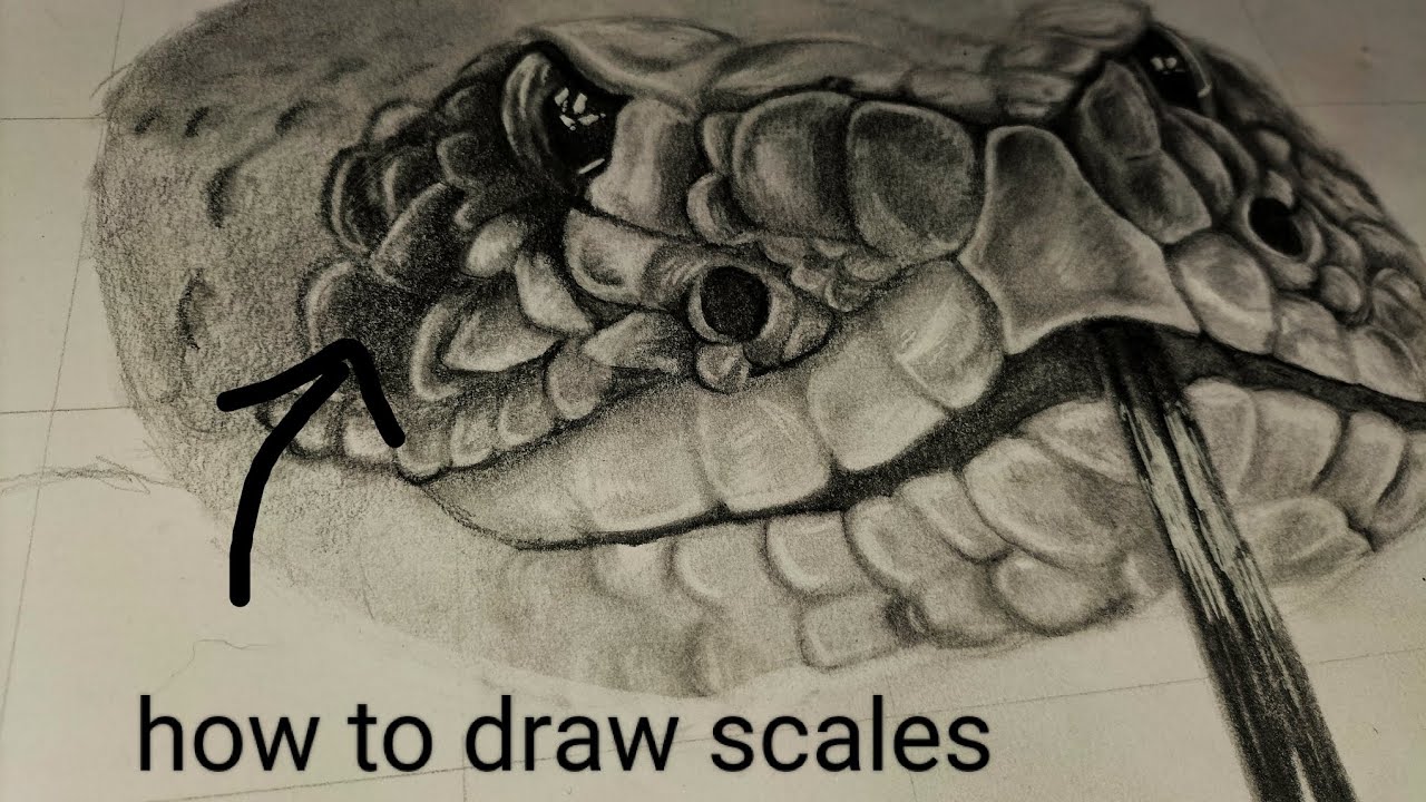 How to draw scales - Anyone can do this (super easy) - YouTube
