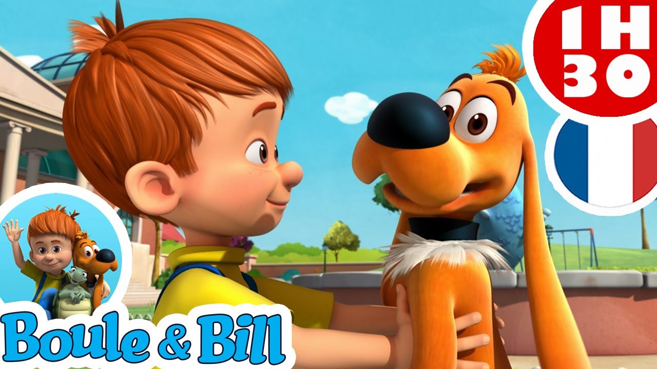 😍Boule et Bill sont trop mignons!😍- Nouvelle Compilation FR - YouTube
