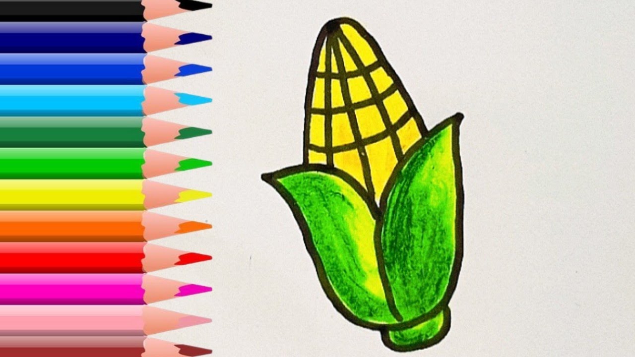 Drawing corn|how to draw corn|drawing easy|your cylone artist - YouTube