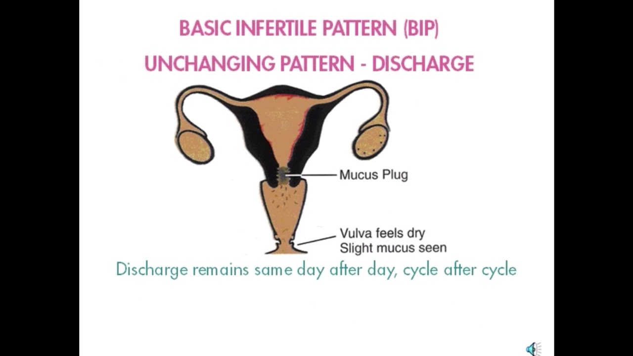 The Billings Ovulation Method Video - YouTube