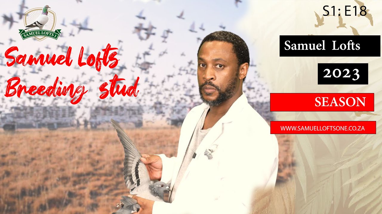 Samuel Lofts Breeding Stud ss1 EP 18 - YouTube