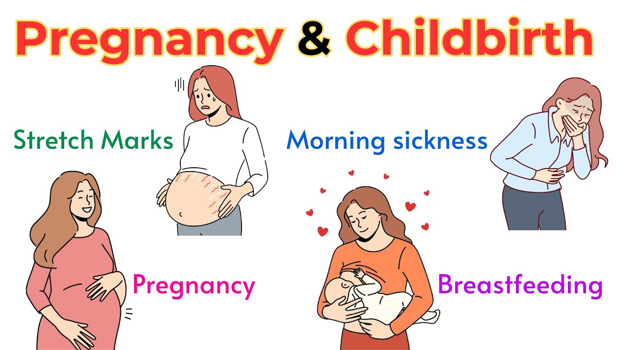 English Vocabulary for Pregnancy and Childbirth | Action Verbs | Kiwi ...