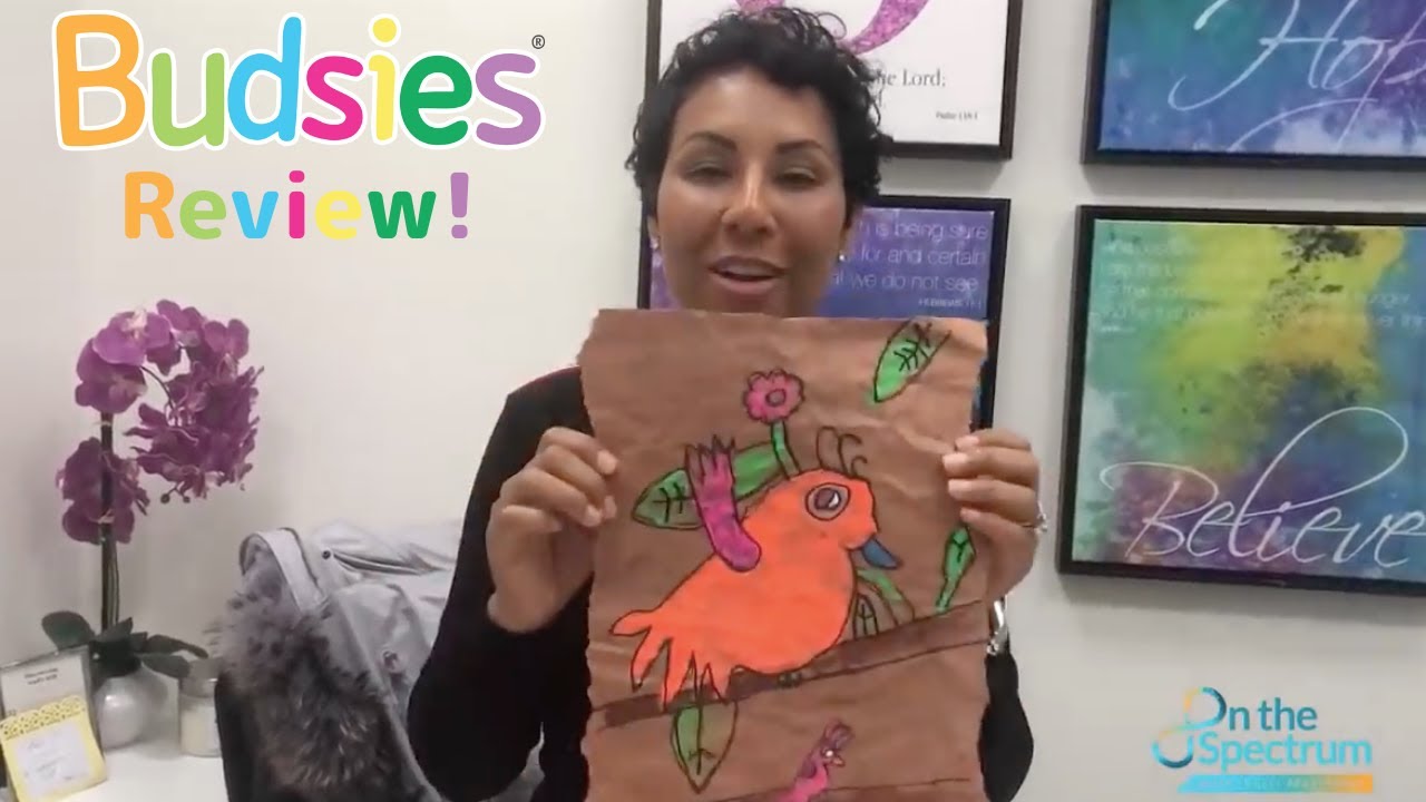 Budsies Unboxing and Review | Why Budsies Are Great For Kids On The ...