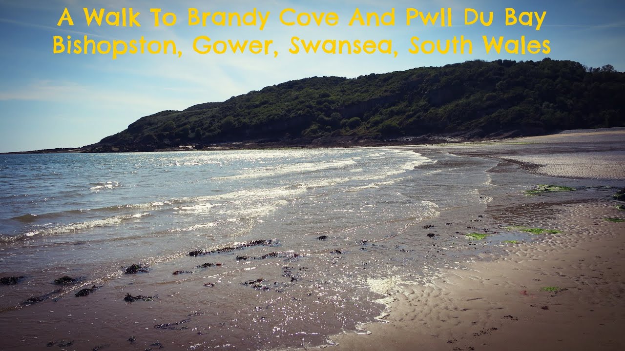 Bishopston Gower at Alvin Burton blog