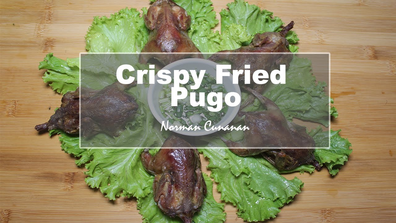 CRISPY FRIED PUGO - YouTube