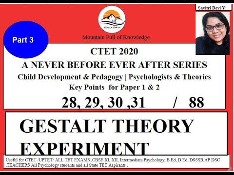 GESTALT EXPERIMENT |SULTAN|INSIGHT LEARNING |CDP |Complete Notes |CTET ...