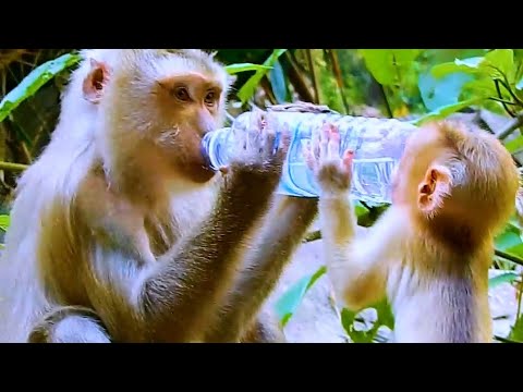 Mom, I need some water with you now please - YouTube