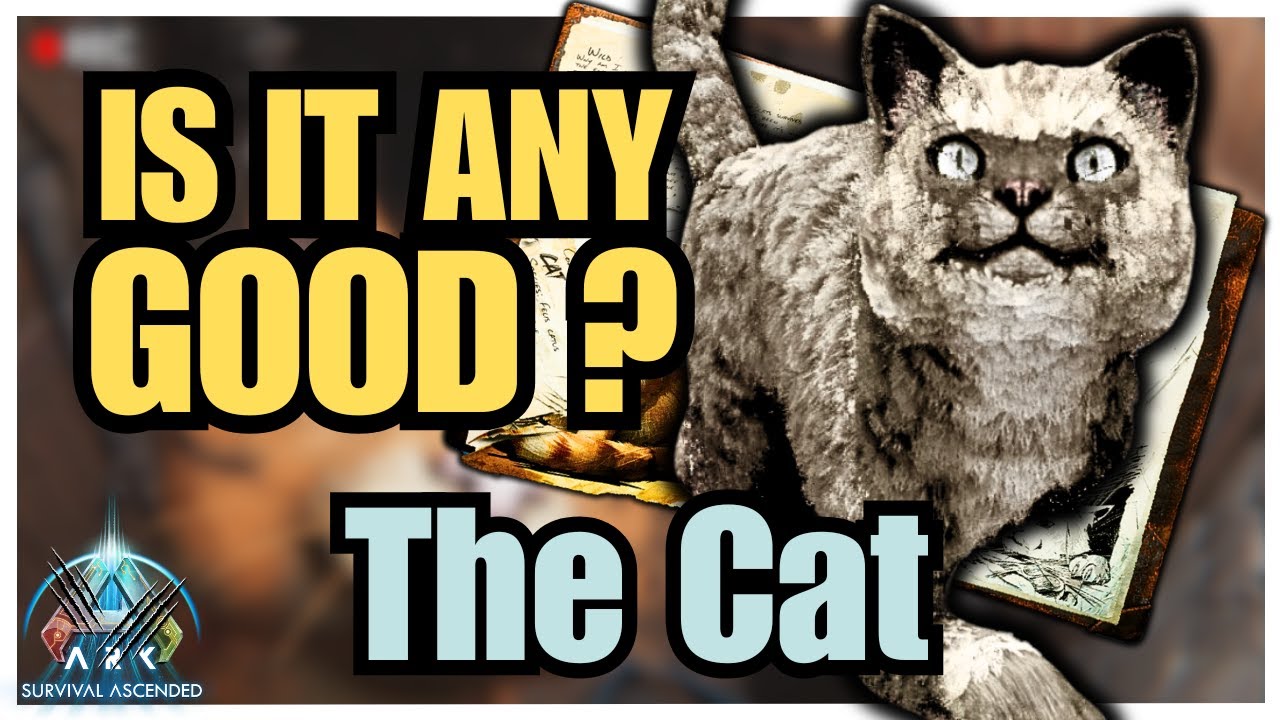 Cat - FULL GUIDE Spawn, Tame & Abilities - EVERYTHING You Need To Know ...