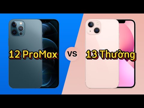 12 ProMax và 13 thường thì nên mua máy nào ? 🤨 #tamducmobile - YouTube
