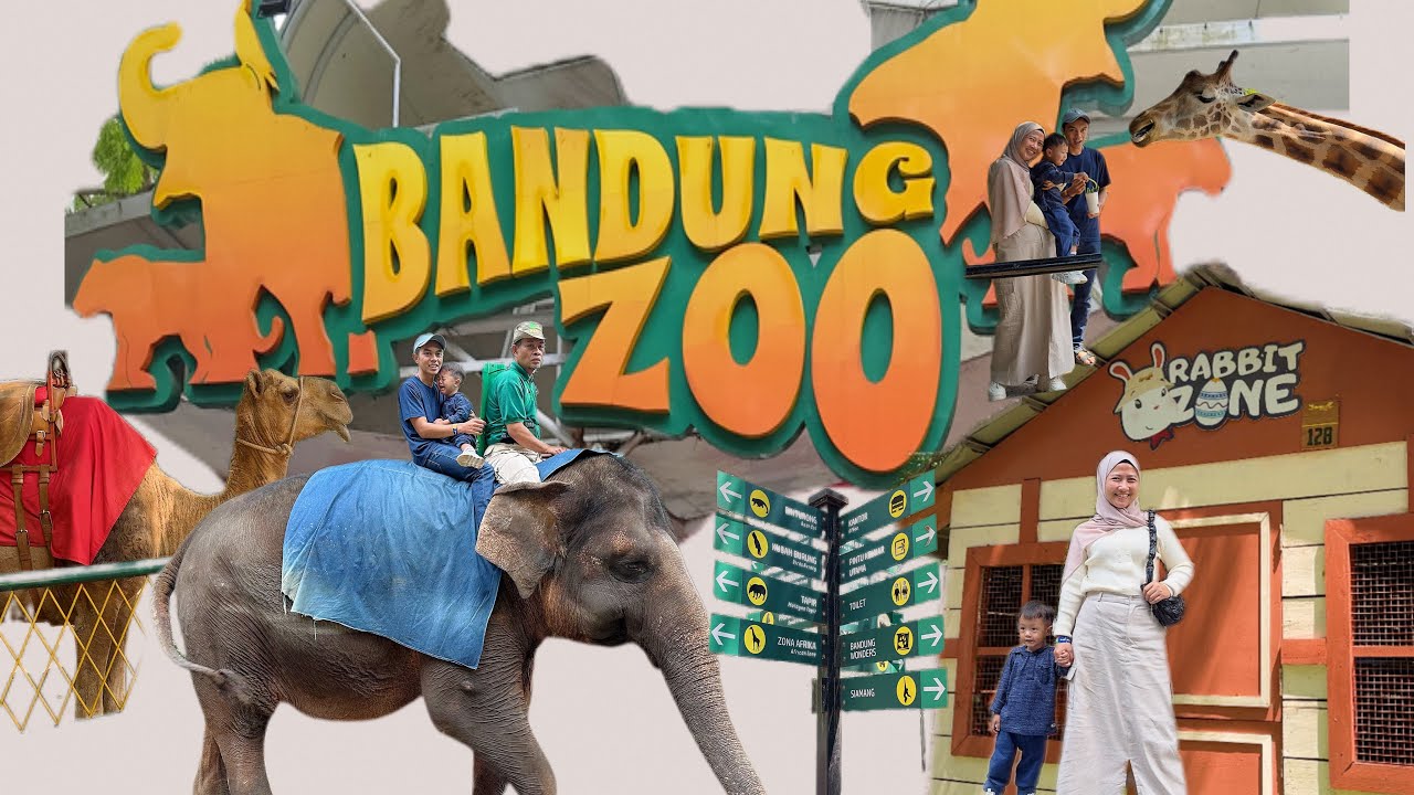 KEBUN BINATANG BANDUNG ZOO TERBARU ( Rekomendasi wisata bandung ) - YouTube