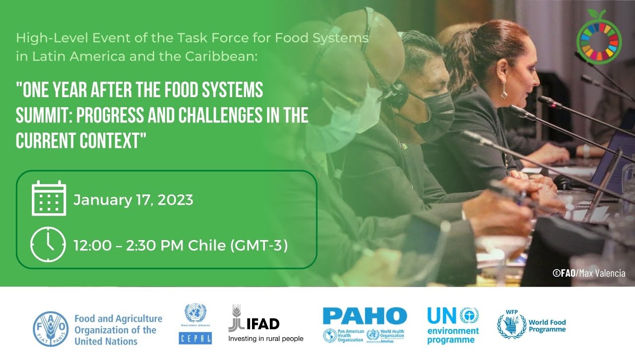 One year after the Food Systems Summit: Progress and challenges in the ...