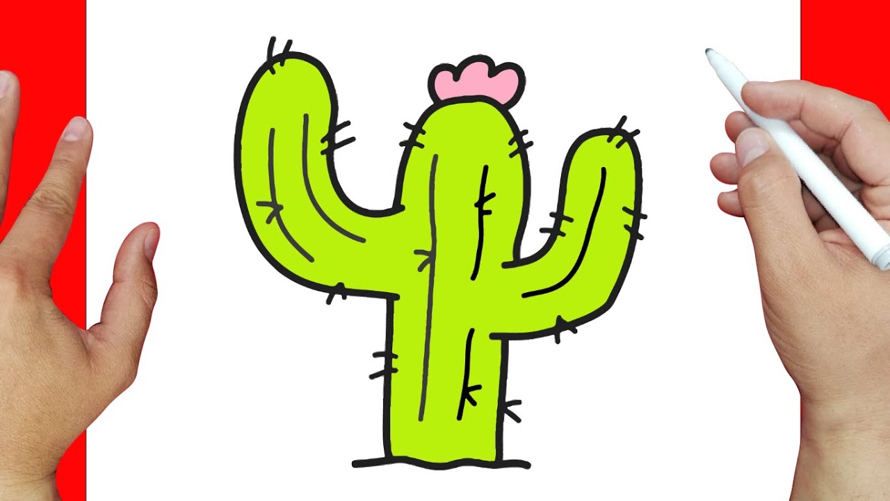 How to draw a cactus step by step - YouTube