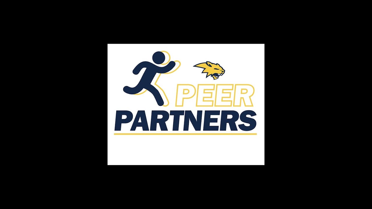 Peer Partners Promo - YouTube