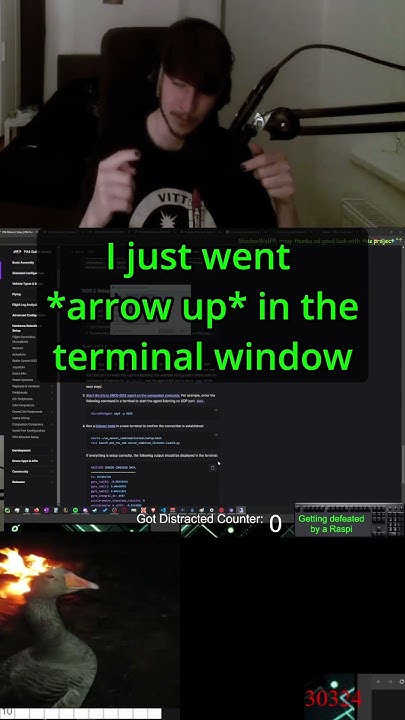 Muscle Memory Programming Python Streamer Coding Twitch Highlights Clips Linux Terminal