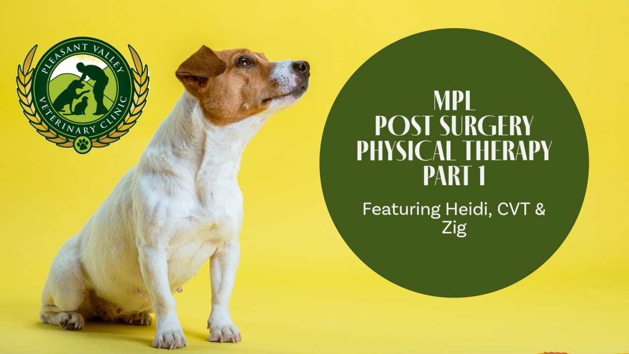 MPL post surgical PT, part 1! - YouTube