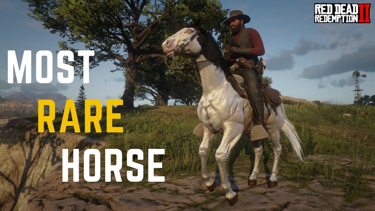 5 Most Rare Horses & there spawn locations! │Part 2 │ Red Dead ...