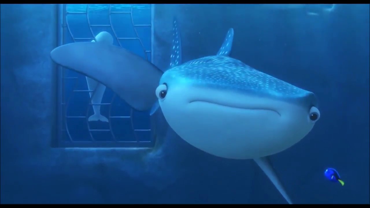 You're a Beluga! (Fandub Ready {Bailey Off}) - YouTube