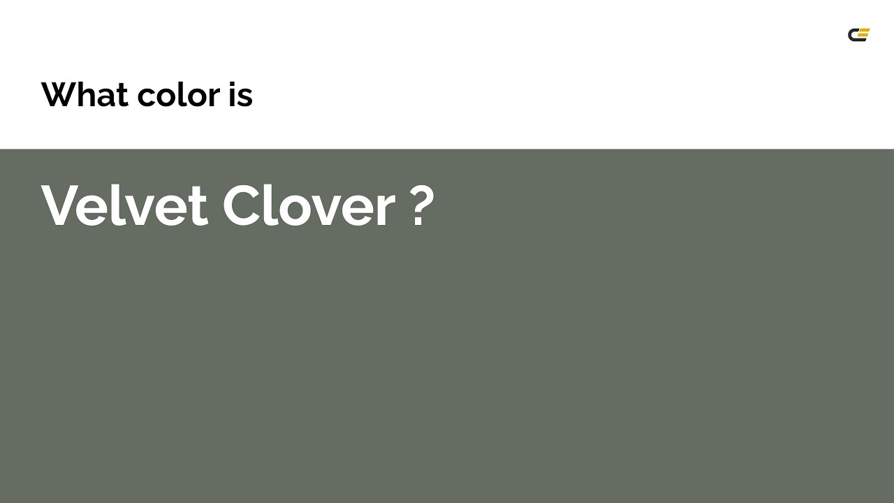 Velvet Clover color #656d63 hex color - Green color - Warm color 656d63 ...