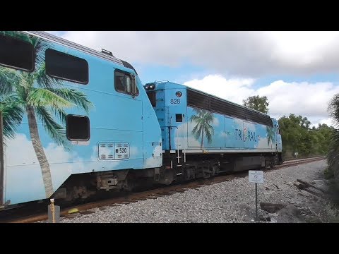 RARE Tri-Rail With Locomotives On Both Ends & More 1-31-19 - YouTube