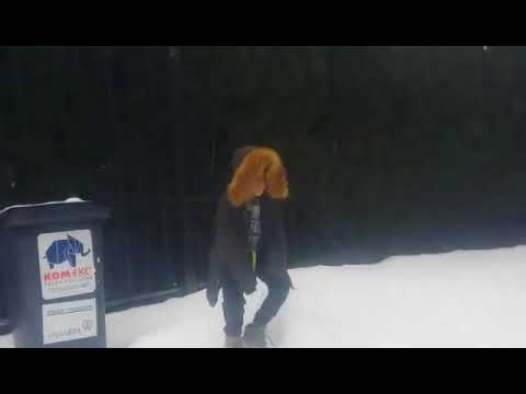 Reynmen ft yusuf aktaş parodi