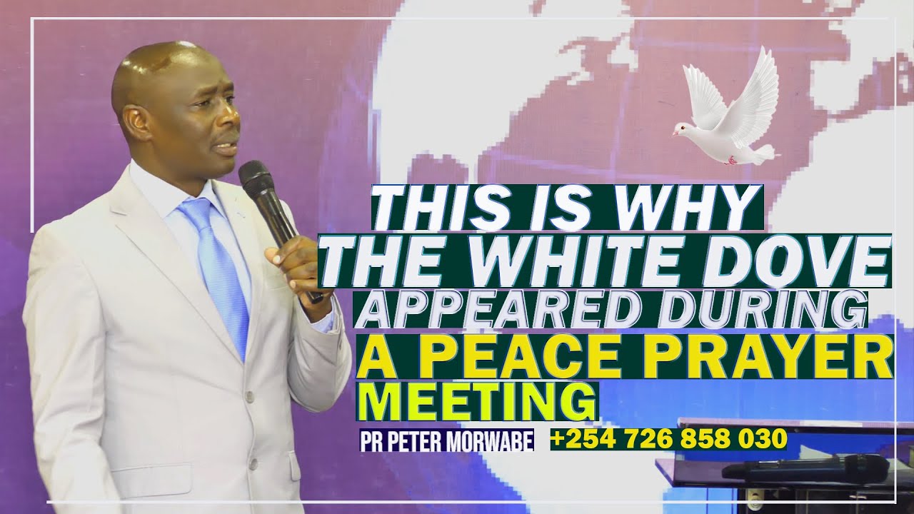 THIS IS WHY THE WHITE DOVE APPEARED DURING A PEACE PRAYER MEETING || PR ...
