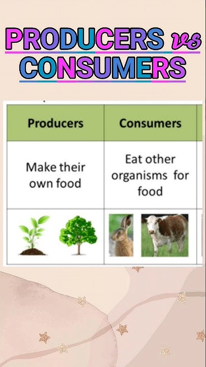 PRODUCERS vs CONSUMERS | YT Shorts | Malayalam | Bio Ocean by Sheethal ...