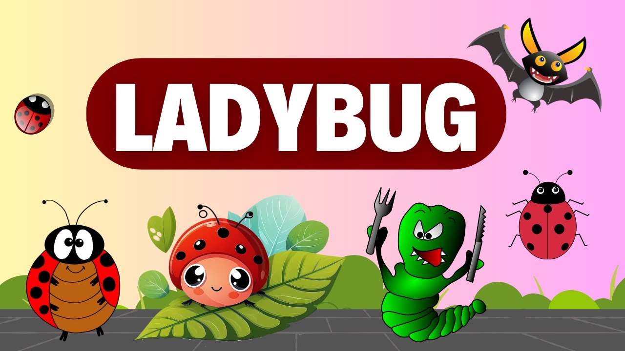 Ladybug Insects | Interesting facts about Ladybugs|Life cycle of ladybugs|Educational video for ...