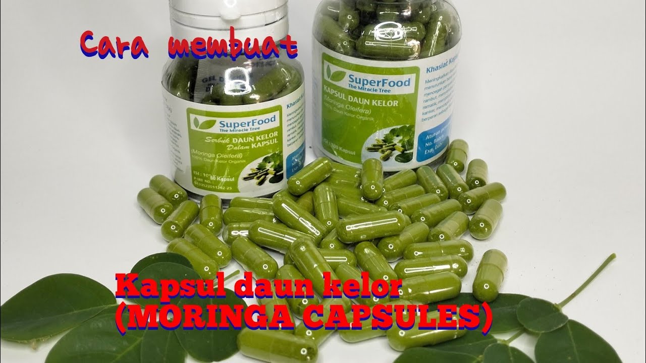 CARA MEMBUAT KAPSUL DAUN KELOR MORINGA CAPSULES - YouTube