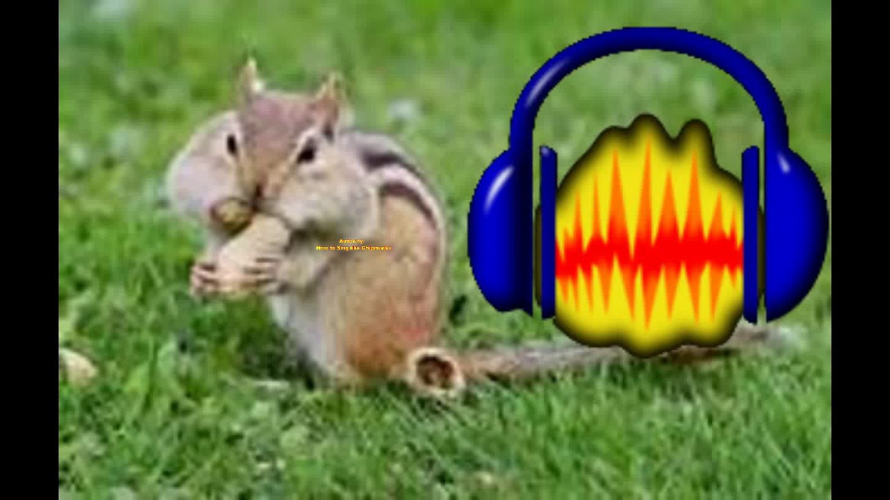 Audacity : How to Sing Like a Chipmunk - YouTube