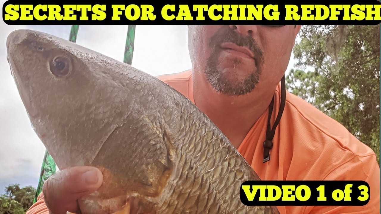 Part 1 of 3 How To Find Red Fish In The SUMMER TIME #redfish # ...