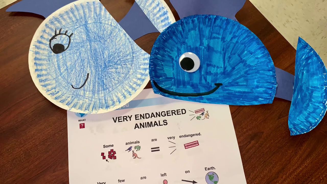 MAKE AN ENDANGERED WHALE CRAFT -Endangered Animals Story - YouTube