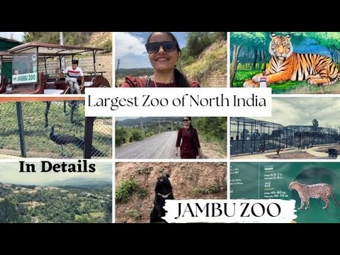 Jambu Zoo In Jammu | North India Ka Largest Zoo | Peacock| Bear ...