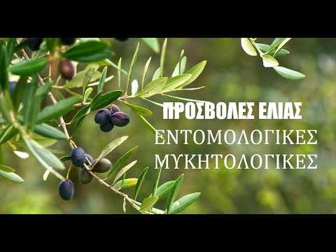 ΓΕΩΖΩΗ 13-3-21 ΠΡΟΣΒΟΛΕΣ ΕΛΙΑΣ ΔΑΚΟΣ ΓΛΟΙΟΣΠΟΡΙΑ ΚΑΙ ΑΛΛΑ - YouTube