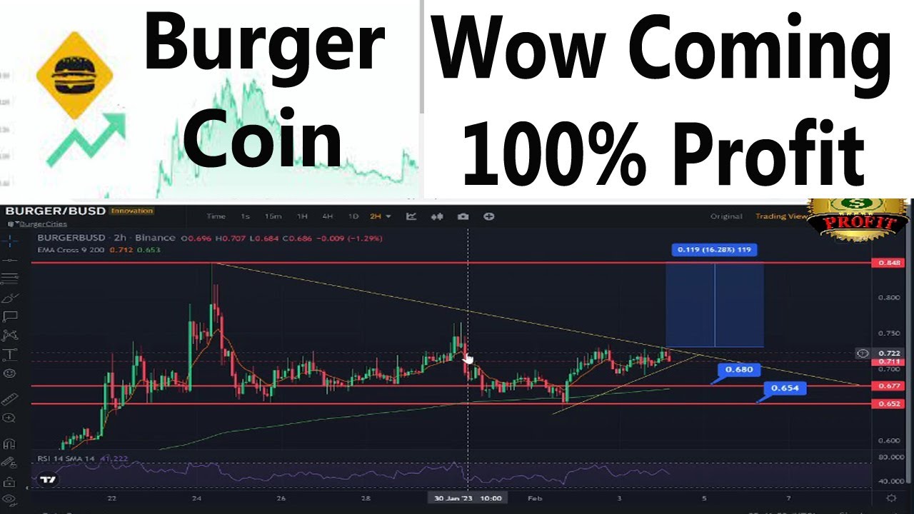 burger coin price prediction | burger coin update | Earn Profit - YouTube