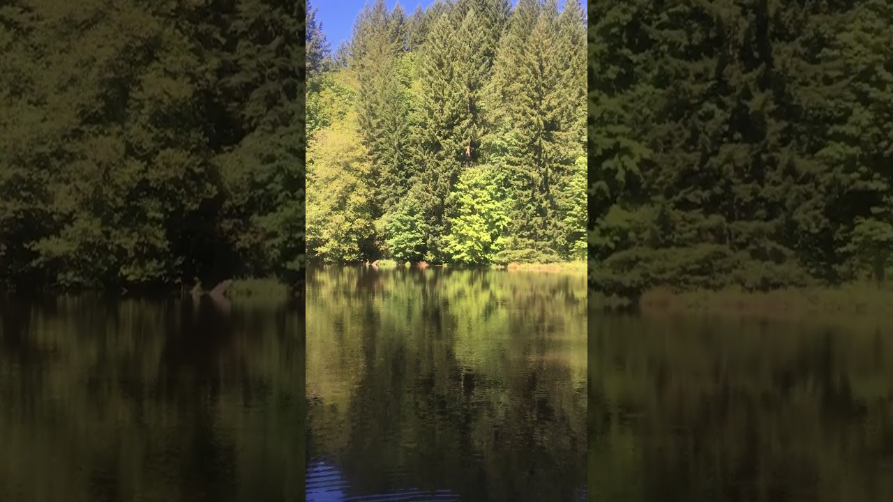FISHHAWK LAKE OREGON - YouTube