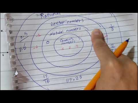 exercises on unit 2 / lesson 3 / analyzing rational numbers by using models ماث الصف السادس ...