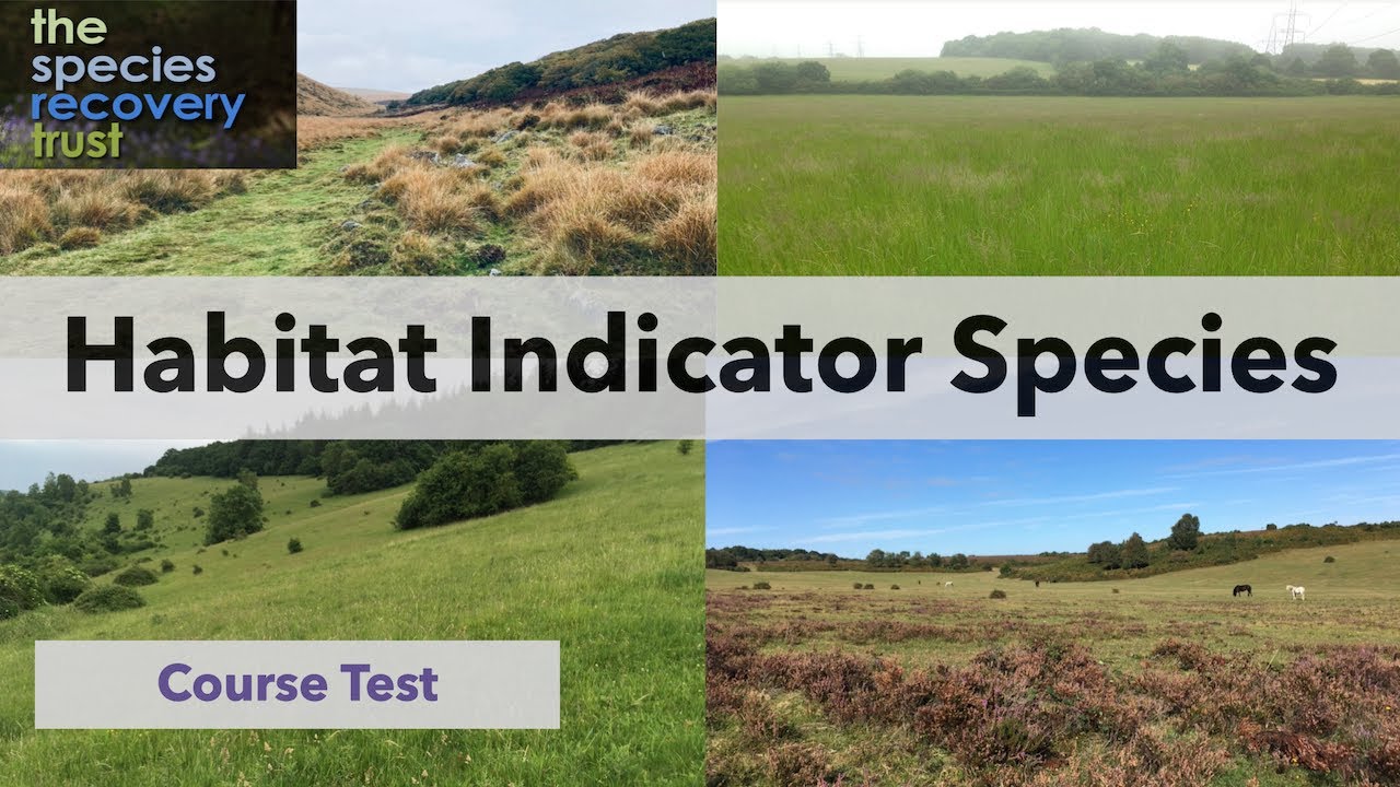 Habitat Indicators Course Test - YouTube