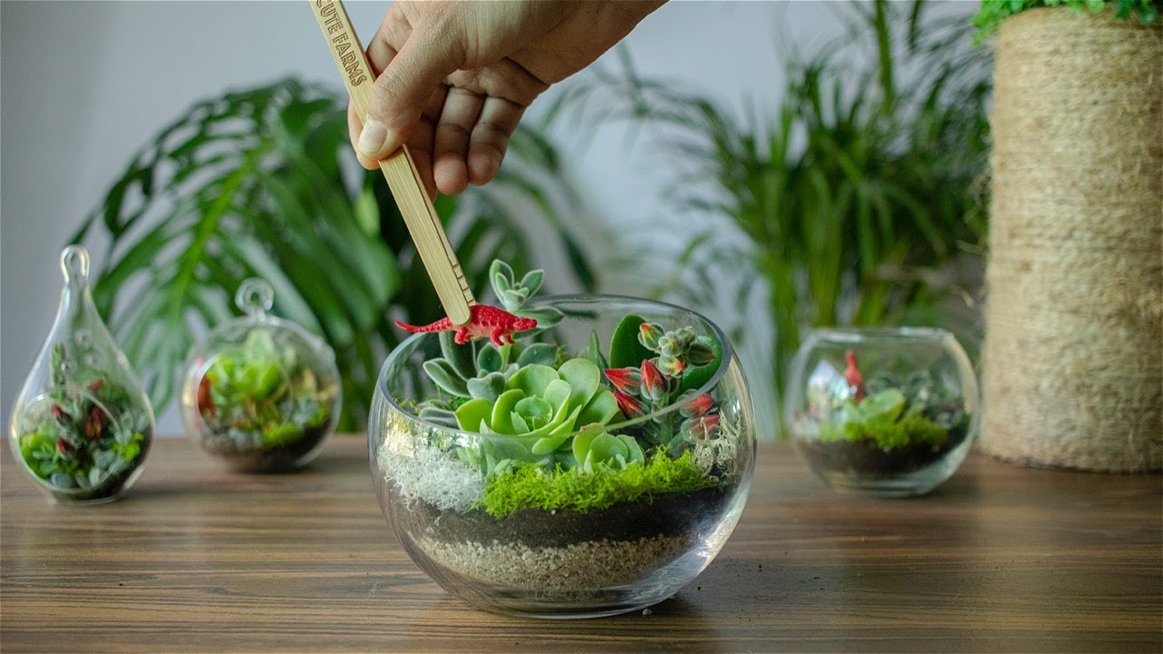 Build A Terrarium | Cute Farms - YouTube