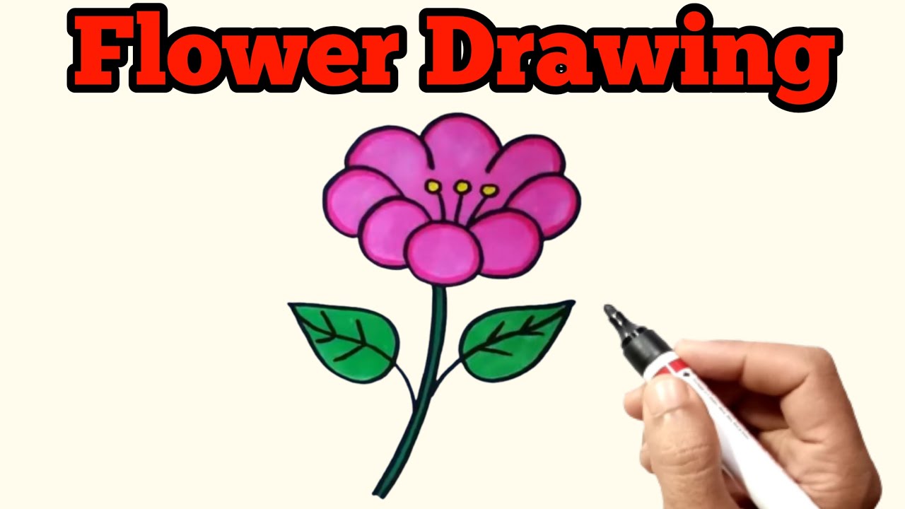 Easy Flower Drawing Tutorial For Beginners | Simple Flower Drawing ...
