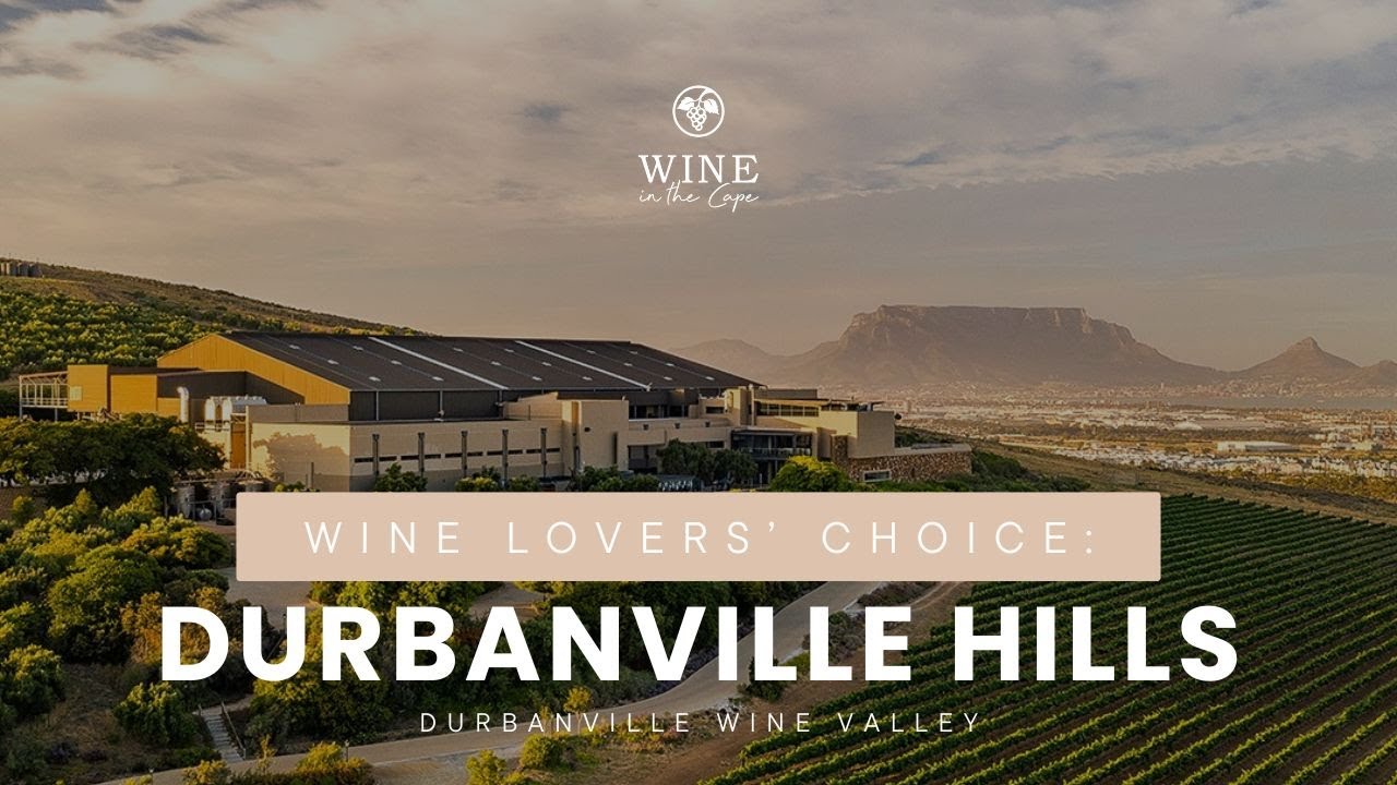 Discover the Beauty of Durbanville Hills | A Premier Wine Destination ...