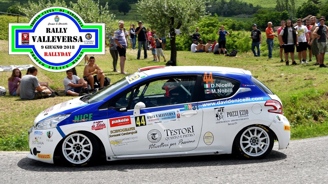 Rally Valle Versa - D.Nicelli M.Nobili - PS3 - Peugeot 208 R2B - YouTube