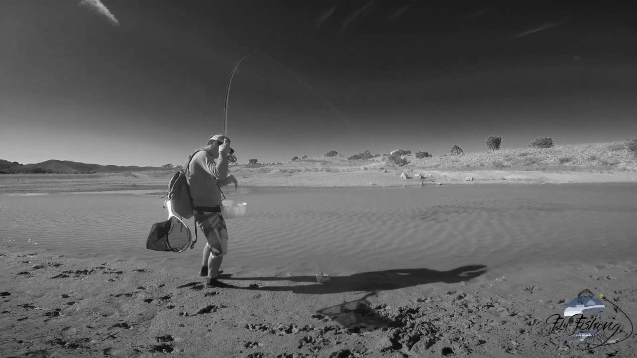 Fly Fishing Algarve - Catching & Releasing - YouTube