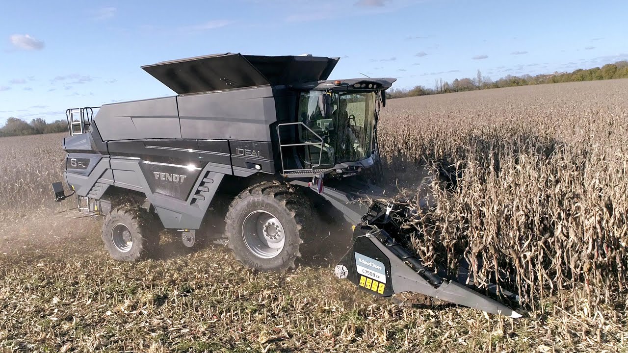HARVEST 2020 - 8 ROW MacDon corn header in action with IDEAL 8PL | #2/2 ...