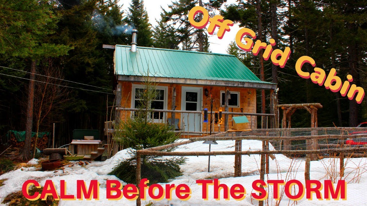 Off grid cabin CALM before The STORM HEAVY RAIN AND WINDS COMING - YouTube