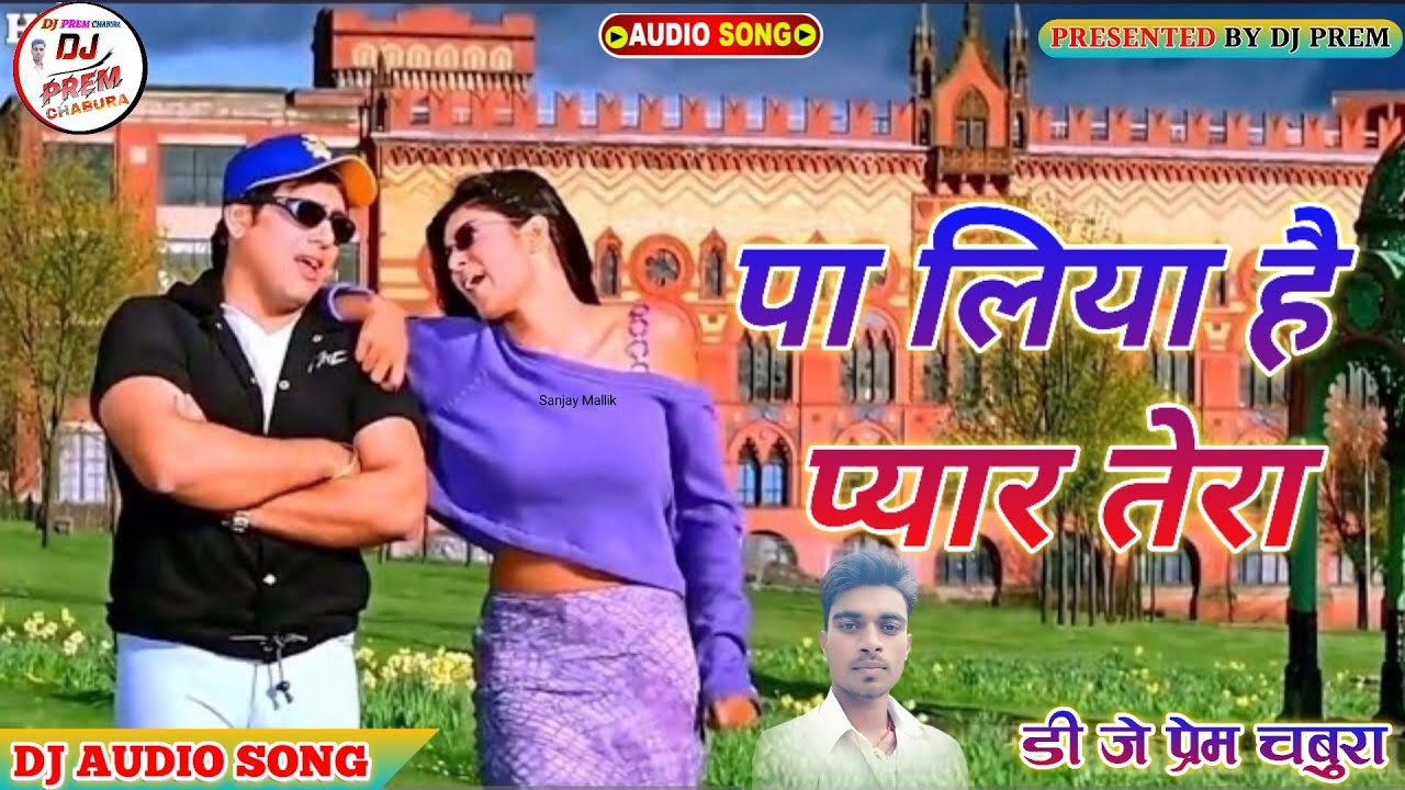Pa Liya Hai Pyar Tera Ab Nhi Khona Govinda Dj NR Chabura Dj Prem ...