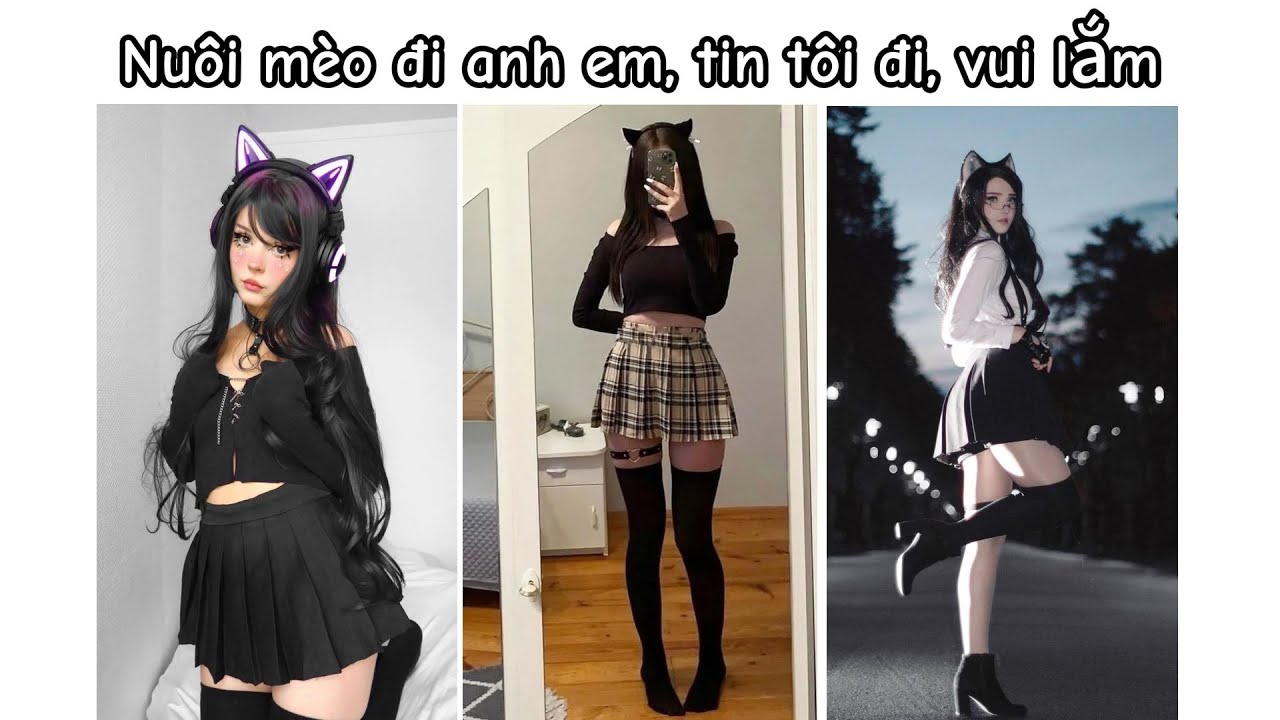 Nuôi mèo đi anh em, vui lắm | Cậu Vàng Làm Meme | Cau vang meme | Ảnh ...