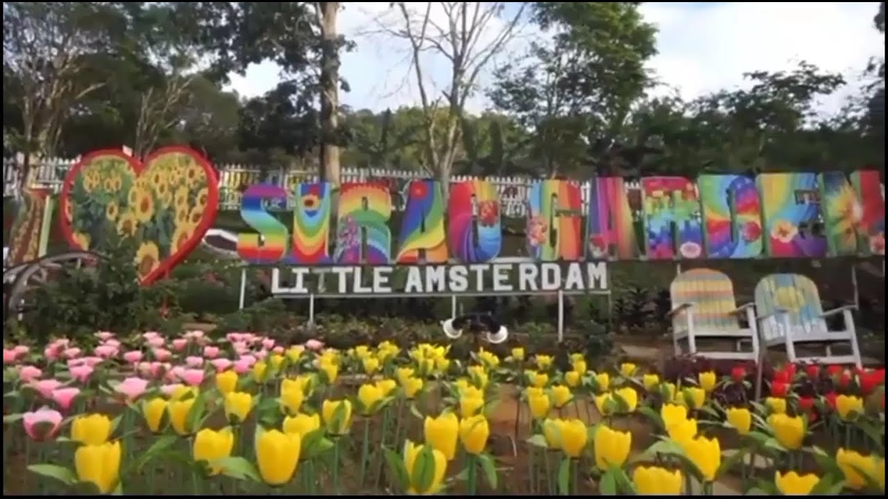 Little Amsterdam in Cebu (Sirao Flower Garden) || MariaJoyleeAraujo ...