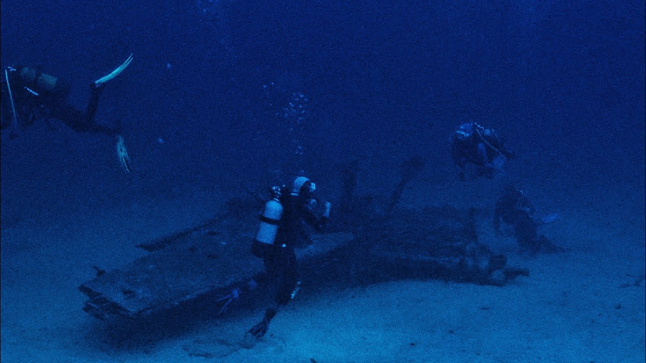 Plunge into the Abyss: Terrifying True Diving Stories - YouTube