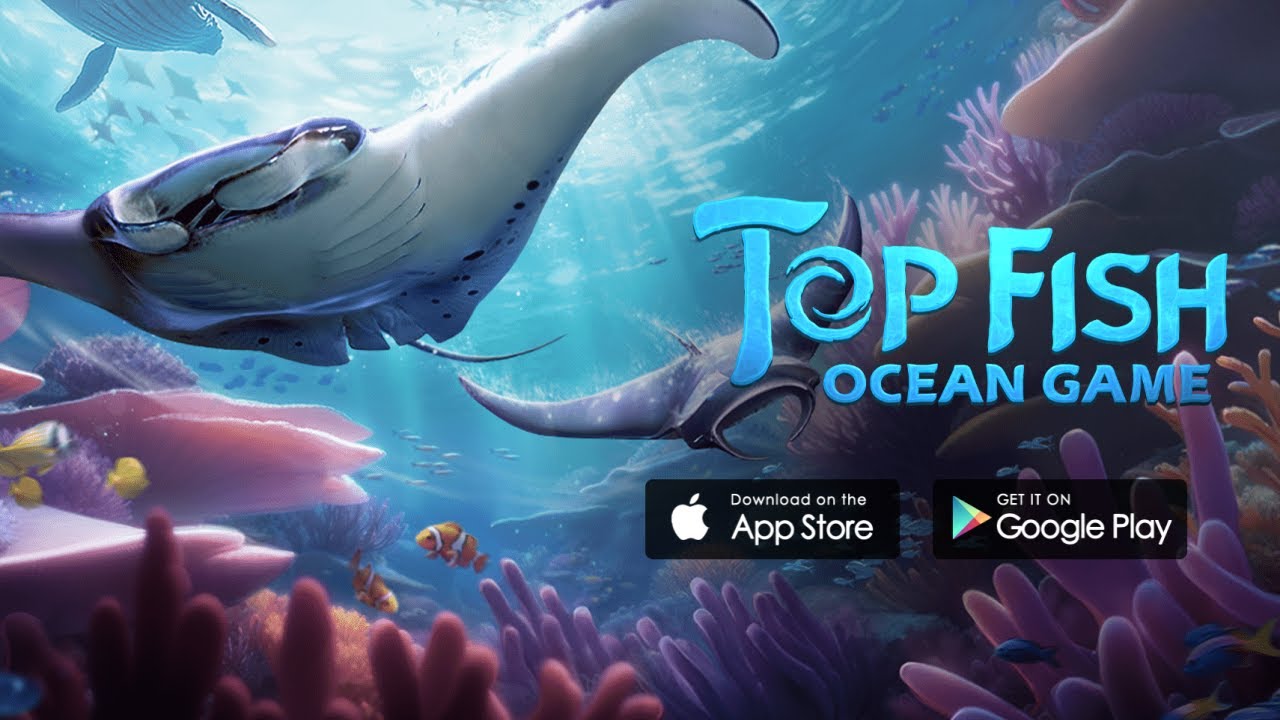 Top Fish (Official iOS) - Gameplay Android | iOS - YouTube