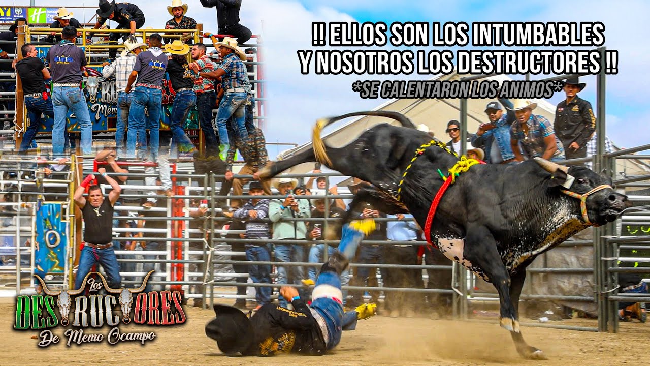 ELLOS SON LOS INTUMBABLES Y NOSOTROS LOS DESTRUCTORES | 10 TOROS ...